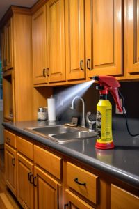 Can You Spray Raid in Kitchen Cabinets? Safe Use & Tips for Insect-Free ...