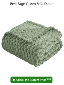 20 Sage Color Sofa Ideas for a Stylish Home